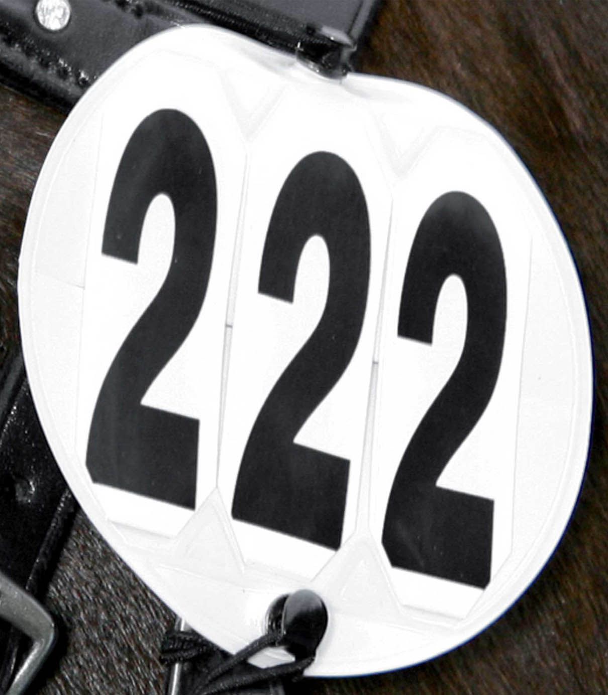 Head Numbers, Round – OUMA HORSE