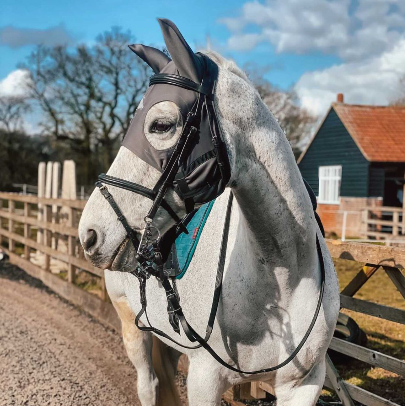 Liquid Titanium Mask Velcro - With Ears – OUMA HORSE